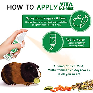 Oasis Vita E-Z Mist All-in-1 Multivitamins for Guinea Pigs - Daily Vitamin Supplement Supports Healthy Bones & Teeth, Joints & Digestion, Promotes Healthy Skin Coat, 2-Ounces