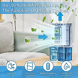 DDVIVAL 68oz Dehumidifier with Drain Hose, 800 sq. Ft Quiet Dehumidifier With Drain Hose & Auto Shut Off, Small Dehumidifiers for Room Bedroom Bathroom Basements Closet RV Kitchen