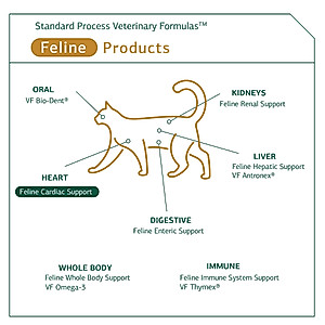 Standard Process Feline Cardiac Support - Cardiovascular System Supplement for Felines - Dietary Cat Supplement to Support Heart Health & Function - Nutritional Tablet Supplement - 90 Tablets
