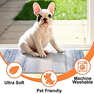 Cristgee Door Mat, Front Indoor Door Mat Faux Wool Non-Slip Entryway Rug Absorbent Abstract Throw Rug for Indoor Entrance Hallway Laundry Room, High Traffic Areas, 20X32 Inches, Blue Washable