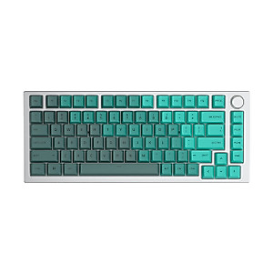 Glorious GPBT Dye Sublimated Keycaps (Rain Forest) -Thick PBT Plastic 114 Keycap Set for 100% Full Size, 85% 80% TKL, 60% Compact, 75% Mechanical Keyboards