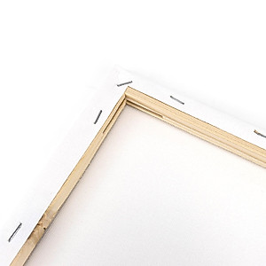 MEECI 2 Pack Canvases for Painting with 10x12, Stretched Blank Canvas Framed White Canvas Boards Painting Supplies Art Board Paint Canvas Panels DIY Gift for Kids Adults Artist Hobby Painters