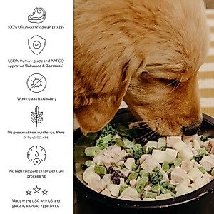 Maev Raw Dog Food for Puppies, Better Than Freeze Dried Dog Food, Flash Frozen Human-Grade Dog Food with USDA Chicken, Vitamin-Rich Organ Meat and Fresh Produce in Every Serving, 10 Pounds