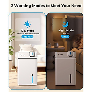 Dehumidifier, PLUSCENT 1000 Sq. Ft. Dehumidifiers for Home, 88 OZ Dehumidifier for Basement Bedroom Bathroom RV and Closet with Drain Hose, Auto Defrost, Auto Shut Off, Sleep Mode, 7 Colors LED Light
