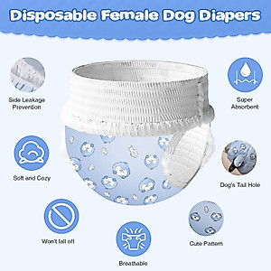 Dog Diapers Female, 10 Count Size S, Disposable Stretchy Diapers for Female Dog, Pulled Up Diaper for Dogs, Super Absorbent Leak-Proof Puppy Small Diapers for Doggy in Heat Period