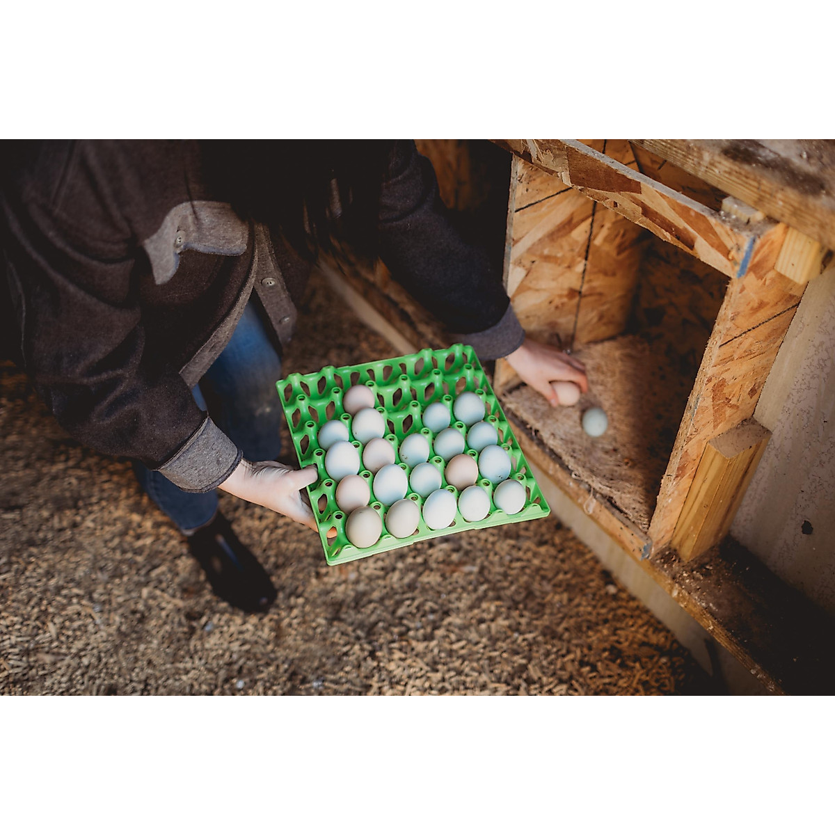 My Favorite Chicken 10 Pack Plastic Egg Flat Carton Tray Holds 30 Eggs Reusable Washable