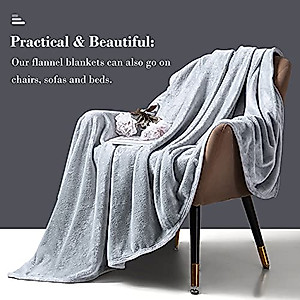 MOONQUEEN Fleece Throw Blanket for Lightweight - Ultra Soft Velvety Texture Plush Fuzzy Cozy Blankets and Throws for Sofa and Living Room (Silver Gray, 50x60 in)