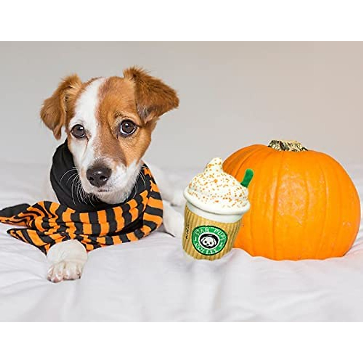 Parody Star Pups Coffee Dog Toy Pup'kin Spice Latte - Fall Funny Parody Plush Squeaky Holiday Toys for Medium, Small and Large - Cute Gifts for Dog Birthday - Cool Stuffed For All Breed Sizes