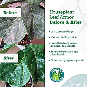 Houseplant Resource Center Plant Leaf Armor – Leaf Shine and Indoor Plant Cleaner Spray – Fortifies and Protects Indoor Plants and Keeps Leaves Green & Gorgeous