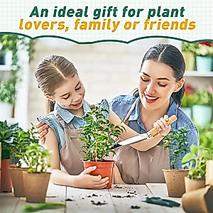 Zopeal 10 Pcs Small Metal Trellis for Potted Plants 15.7 Inch Gold Trellis Stackable Plant Support Stakes for Garden Climbing Houseplants Indoor Outdoor Monstera Flowers Hoya