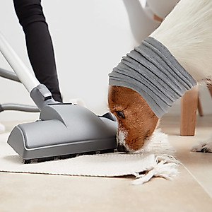 SIMENA No Shake Ear Wraps for Dogs, Stretchy Dog Ear Muffs, Dog Ear Cover Against Flap, Stressing Effect of Loud Noise, Head Wrap to Keep Your Dogs Ears Warm (Small (10-14" x 6"), Grey)