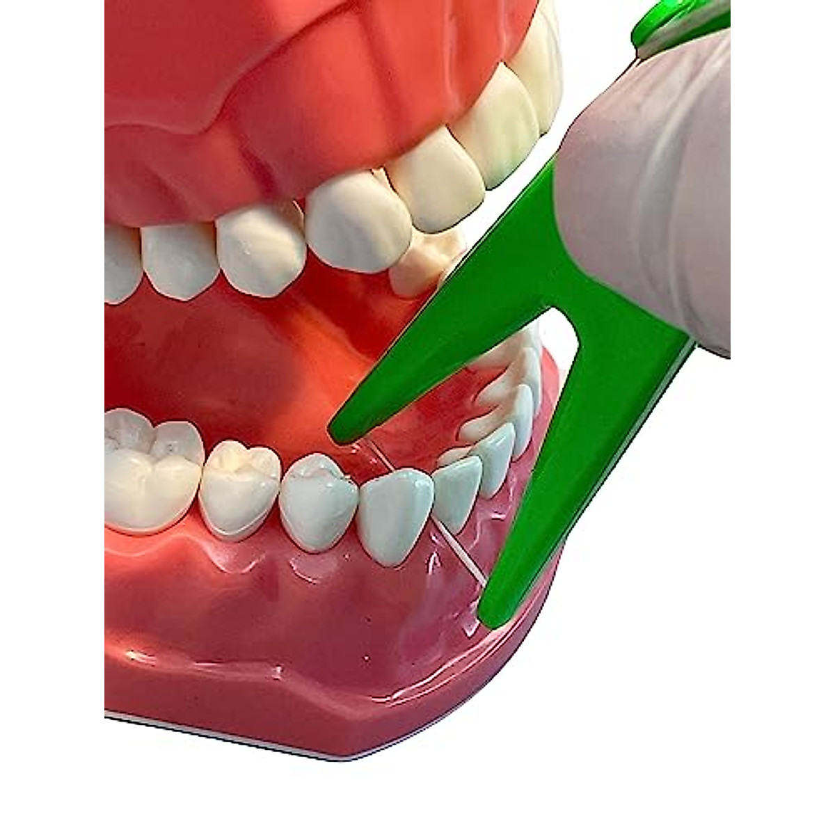 E-Z Floss Dental Floss Holder
