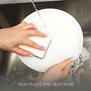 Full Circle In a Nutshell Walnut Scrubber Sponges, Non-Scratch, Set of 2 (Pack of 6)