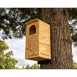 JCs Wildlife Barred Owl Nesting Box - Treated Exterior Grade Plywood - Mounting Hardware and Pine Shavings Included - Dedicated Clean Out Door for Easy Cleaning - Made in The USA