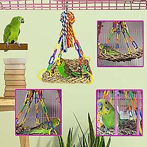 Bird Foraging Cage Toy, Seagrass Woven Climbing Hammock Swing Mat with Colorful Chewing Rope Toys, Suit for Lovebirds, Finch, Parakeets, Conure, Cockatiel
