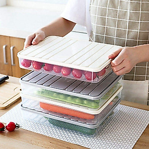 Food Storage Containers 11.02×8.85×1.81" Vegetable Organizer 98-oz with Lid Clear Fridge Crisper Keep Food Fresh BPA Free Kitchen Organizer Bins (1 x Large)