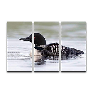 NAENRFERCX 3 Panels Wall Art Pictures Common Loon Swimming on a Lake in Summer Modern Canvas Print Paintings Artwork Framed Posters for Office Home Decor Ready to Hang, 16x32inch