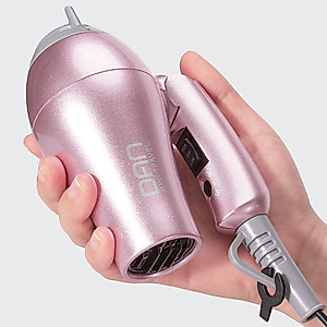 DAN Technology Flat Iron Blow Dryer Set, Small Flat Irons with Travel case, Concentrator Nozzle & EU Plug Adapter, Dual Voltage & Folding Handle, Pro Hair Dryer Set…