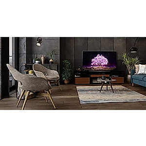 LG OLED48C1PUB 48" 4K Ultra High Definition OLED Smart C1 Series TV with an Additional 1 Year Coverage by Epic Protect (2021)