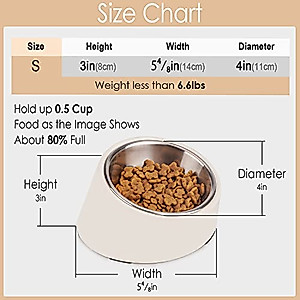 SuperDesign Mess Free 15° Slanted Bowl for Dogs and Cats, Tilted Angle Bulldog Bowl Dog Feeder, Non-Skid & Non-Spill, Easier to Reach Food S/0.5 Cup Pink
