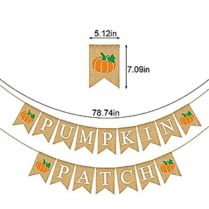 Rainlemon Jute Burlap Pumpkin Patch Banner Fall Autumn Theme Little Pumkin Birthday Party Garland Decoration