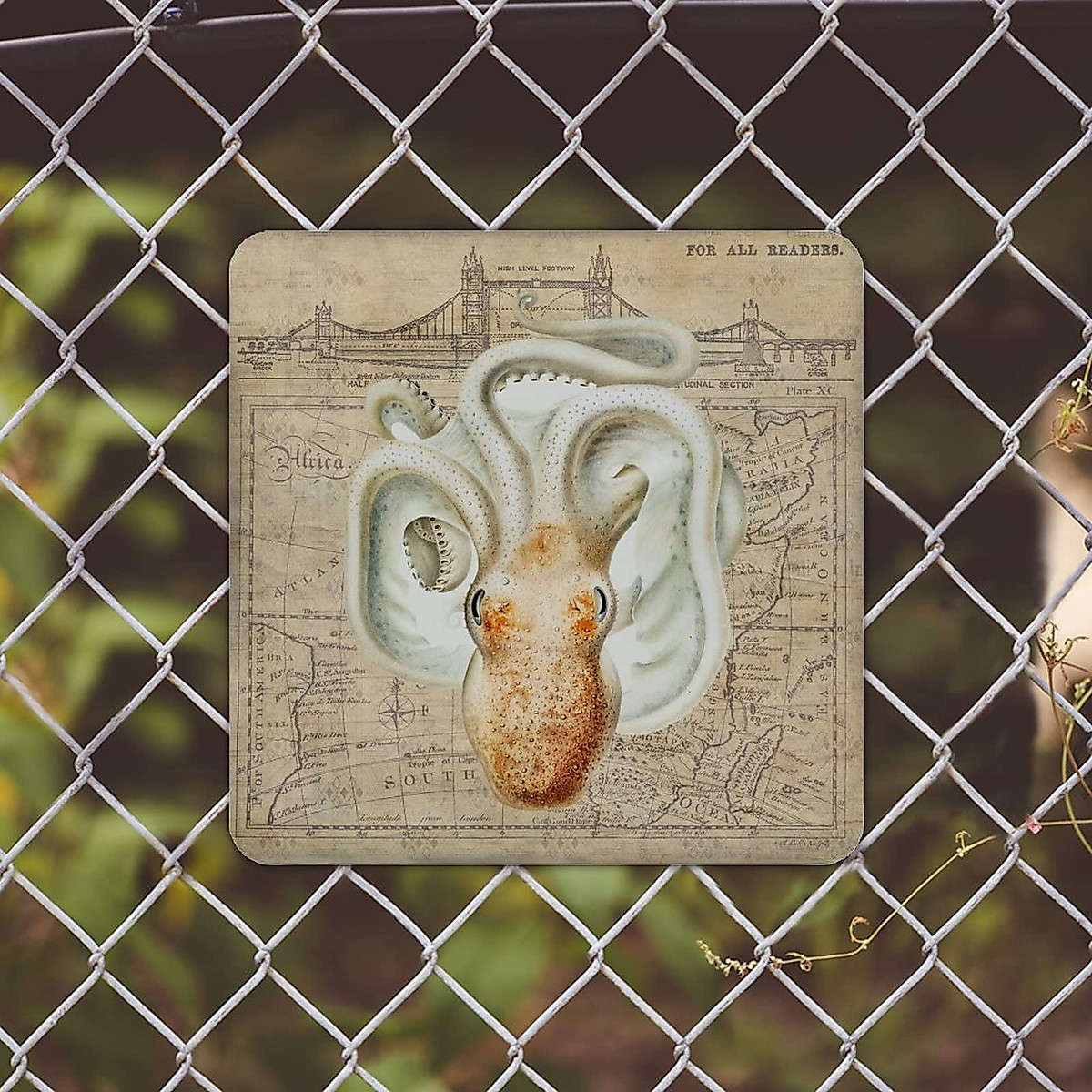 Ocean Life Tin Sign Colorful Octopus Metal Plaque Classic City State Map Beach House Funny Novelty Sign Metal Wall Plaques for Home Garden Master Room Garden Bar 12x12in