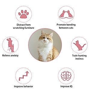 Cat Collar Toy, 3 Pcs Cat Feather Toy with Neck Collar, Interactive Self Playing Toys with Bell for Indoor Kittens Small Animals(Pink/Blue/Green)