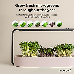 ingarden Microgreens Growing Kit - Organic Superfood Sprouting Seed Pads (3) | Auto 4-Stage LED Grow Lights & Hydroponic Watering System | Chic Steel Frame & Ceramic Bowl, Plastic-Free [Rose]