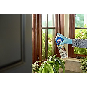 Ortho Home Defense Flying Insect Killer Aerosol 16 oz