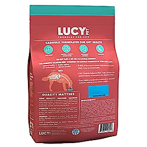 Lucy Pet Formulas for Life Salmon, Pumpkin, & Quinoa Dry Dog Food, All Breeds & Life Stages, Digestive Health, Sensitive Stomach & Skin - 4.5 lb