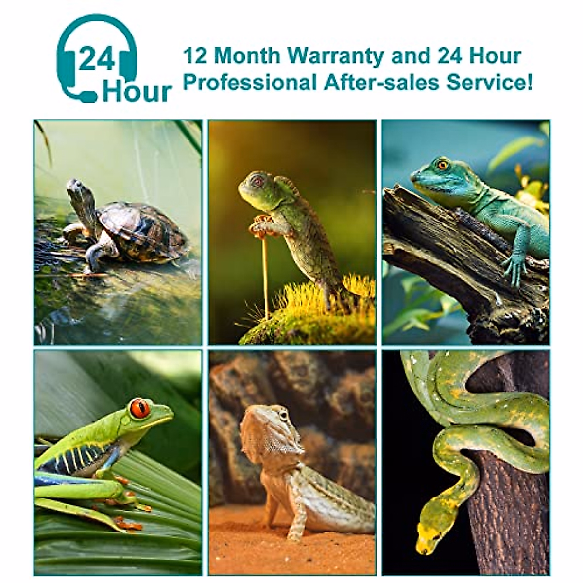 BOEESPAT UVB Reptile Light 10.0, 23W Desert UVA UVB Bulb for Reptiles, Compact Desert Terrarium Lamp, Reptile UVB Light Bulb for Bearded Dragon, Lizard, Tortoise, Snake, Gecko