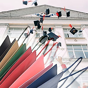 Nexmint Blue Gift Bags: 24 Pack Medium Paper Bags With Handle. Great Bags for Holidays, Graduation, Congratulations, Wedding, Birthday, Shopping, Party Favors, Treats, Goodies, Business Tchotchkes, Retail