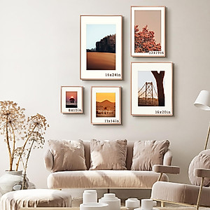 Frametory, 16x20 Metal Picture Frame with Mat for 11x14 Picture & Real Glass, Aluminum Photo Frame Collection (Rose Gold, 1 Pack)