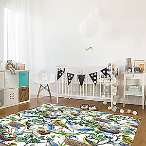 Leaves Birds Area Rug 3'x5',Blue Green Branch Plant Fruit Feather Egg Outdoor Indoor Small Carpet Runner for Kids Teen Girls Boys Bedroom,Living Room,Bathroom,Office,Kitchen,Washable Area+Rug