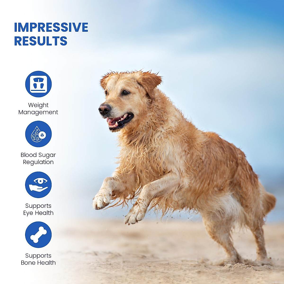 Mr. Ros Marine Phytoplankton: Supercharge Your Dog's Health (2.12 oz / 60 g). Essential Nutrients for Shiny Coat, Strong Joints & Overall Wellbeing