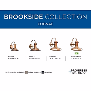 Progress Lighting P5721-14 Brookside Outdoor, 8-Inch Width x 9-3/4-Inch Height, Brown