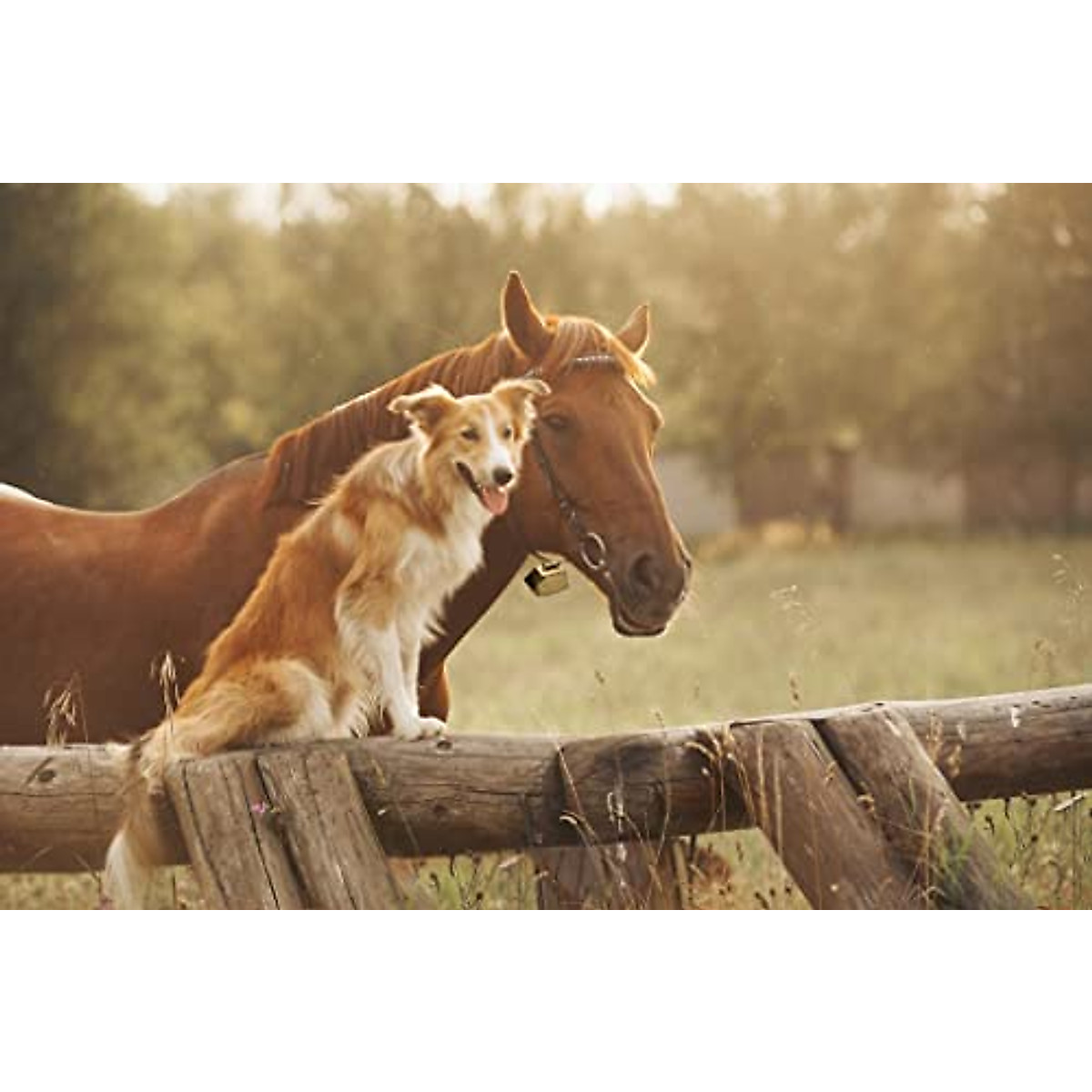 Pinenjoy 17Pcs 1.57inch Small Brass Bell Copper Grazing Bells Farm Animal Loud Bronze Bell Long Distancec Cow Horse Goat Dog Cattle Sheep Anti-Theft Collar Metal Accessories