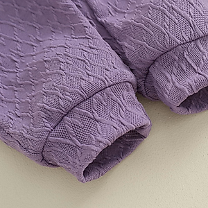 Newborn Baby Girl Clothes Daisy Outfit Long Sleeve Sweashirt Tees Tops Pants Infant Toddler Girl Fall Winter Clothes (Solid-Purple, 12-18 Months)