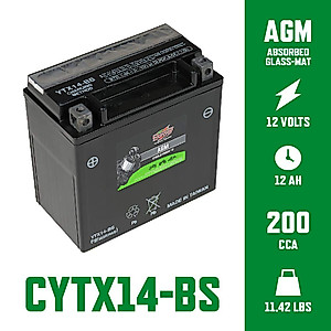 Interstate Batteries YTX14-BS 12V 12Ah Powersports Battery 200CCA AGM Rechargeable Replacement for Motorcycles, ATVs, UTVs, Scooters, Snowmobiles (CITX14-BS)