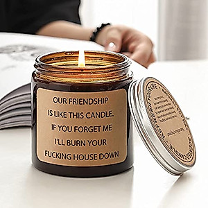 PMCDS2G Scented Candles Best Gift for Men & Women Birthday 14oz 100hour Long Burn Time Lavender Fragrance (Our Friendship is Like This Candle. IF You Forget ME I'll Burn Your FXXKING House Down.)