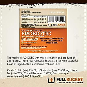 FullBucket Equine Probiotic Paste with Saccharomyces Cerevisiae Boulardii for Daily Digestive Optimization; Concentrated Formula with 100 Billion CFUs, 1 Tube