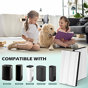 F1 Replacement Filter Compatible with Filtrete 3M C01 T02 Room Air Cleaner Purifer FAP-C01-F1,FAP-T02-F1, FAP-01BA-G1, FAP-T02WA-G1 ＆ FAP-ST02N, Part#FAPF-F1-2P, 2packs
