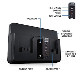 Hoover ONEPWR Dual Bay Charger, Compact 2 Battery Charging Hub, BH05200, Black