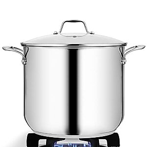 NutriChef 12-Quart Stainless Steel Stock Pot - 18/8 Food Grade Stainless Steel Heavy Duty Induction - Large Stock Pot, Stew Pot, Simmering Pot, Soup Pot with See Through Lid, Dishwasher Safe - NCSP21