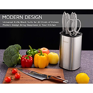 WELLSTAR Universal Knife Block Holder, Stainless Steel Knife Stand Without Knives, Safe Space Saver Large Volume Stable Knife Storage with Scissors Slot, Detachable for Easy Cleaning - Square