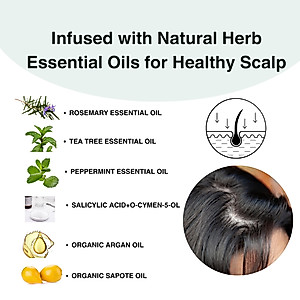 Moist Diane Perfect Beauty Extra Fresh & Hydrate Natural Hair Shampoo with Pump for Men & Women, Organic Keratin Hydrating & Moisturizing Japanese Haircare Products for Dry, Damaged Hair 15.2 fl oz