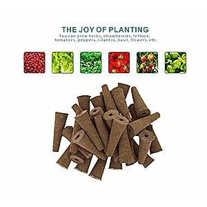 lukandafi Grow Sponges 60 Pack, Hydroponics Sponge Compatible with Aerogarden, iDOO