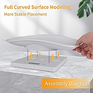 WIOR Food Scale Grams and Ounces, 22lb/10kg Digital Scale, Kitchen Scale with 1g/0.1oZ Precise Graduation, LCD Display Digital Food Scale for Kitchen, Baking, Cooking, Ingredients, Jewellery, Pet