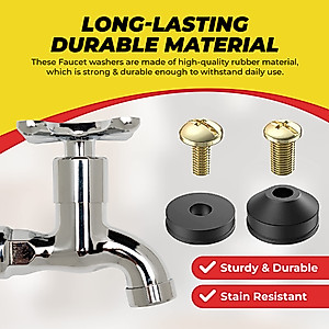 Flat and Beveled Faucet Washers and Brass Bibb Screws Assortment, 48 Pieces