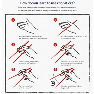 Wooden Chopsticks, Donxote 9.84 Inch Reusable Natural Healthy Chopsticks, Asian Classic Style for Dining Room, Kitchen, Japanese Noodles, Korea Gourmet, Set of 10 Pairs